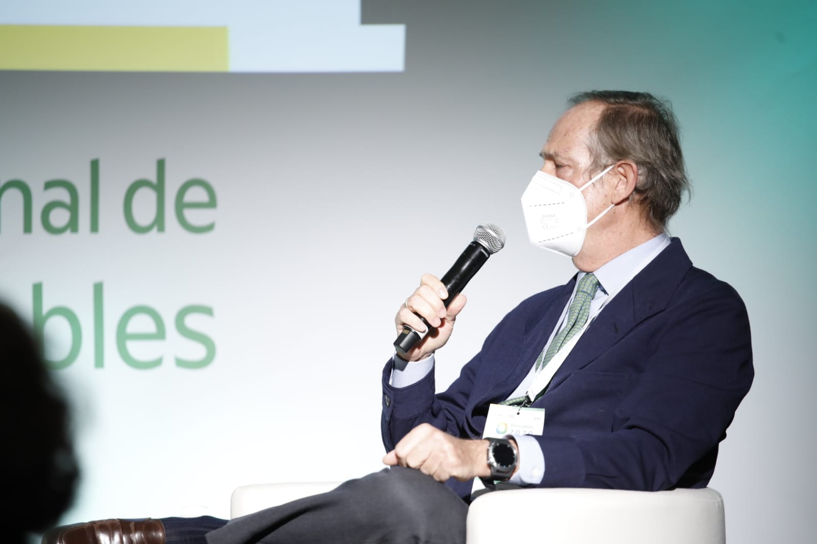 Ignacio Colmenares: “Las subastas de renovables permiten que el precio ...