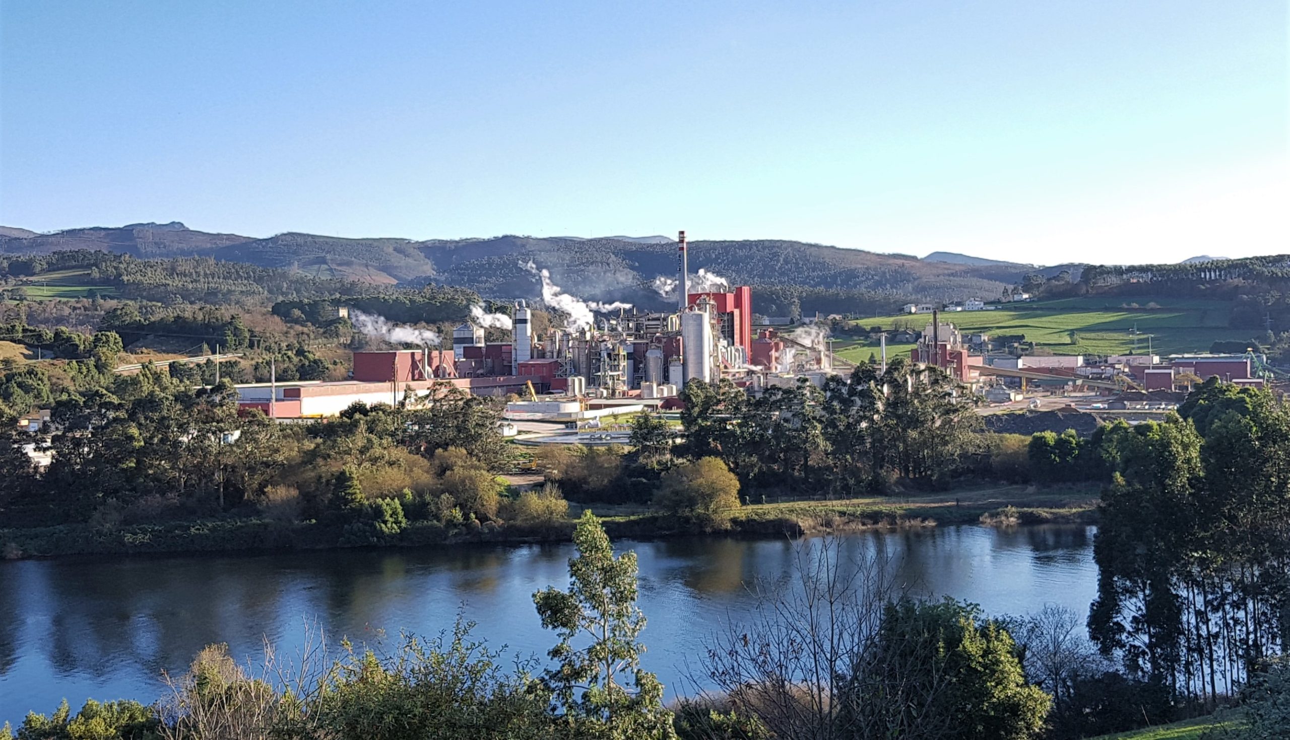 Ence, reconocida por su desempeño medioambiental, social y de buen ...