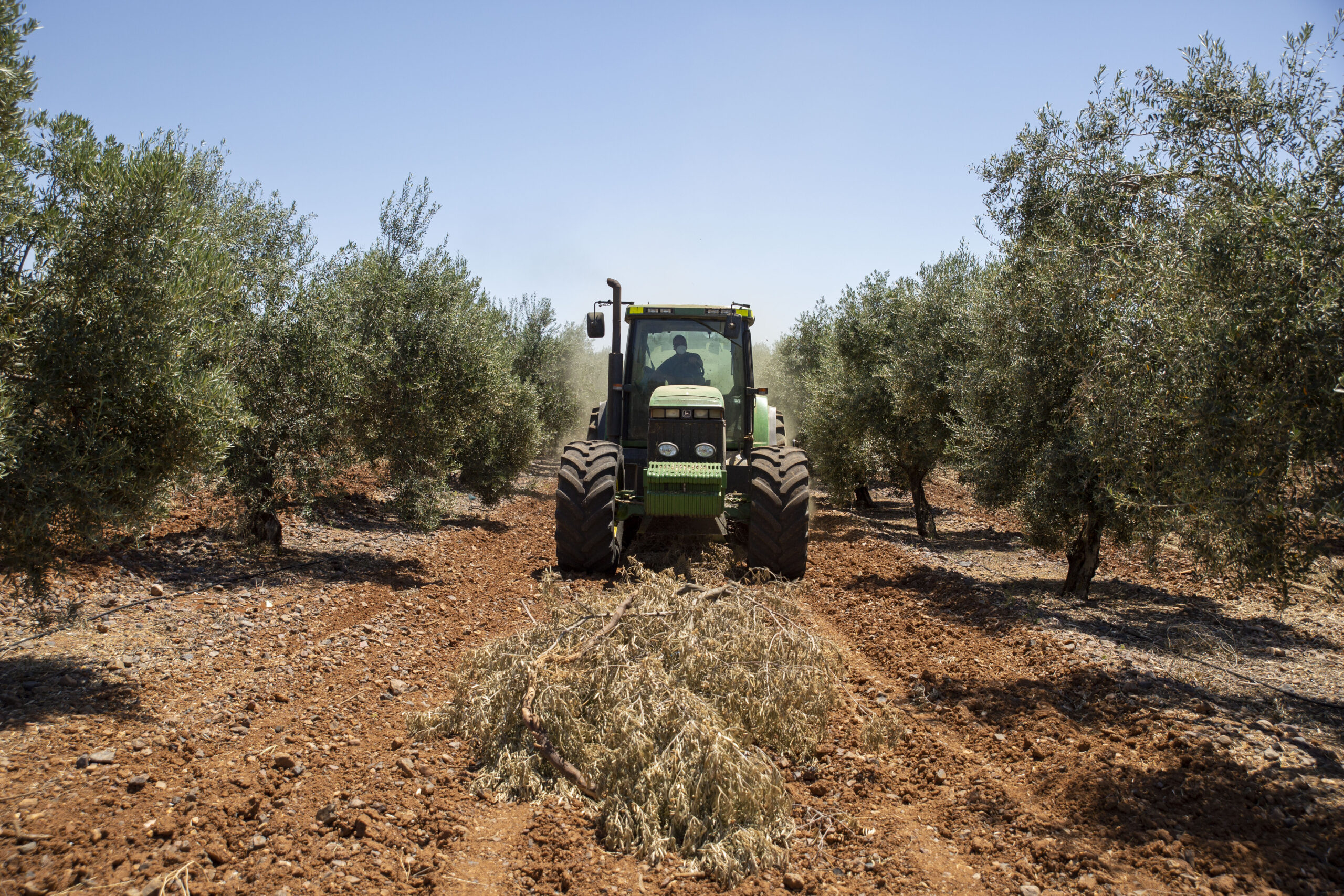 Magnon transformed more than 1.6 million tons of biomass into renewable ...