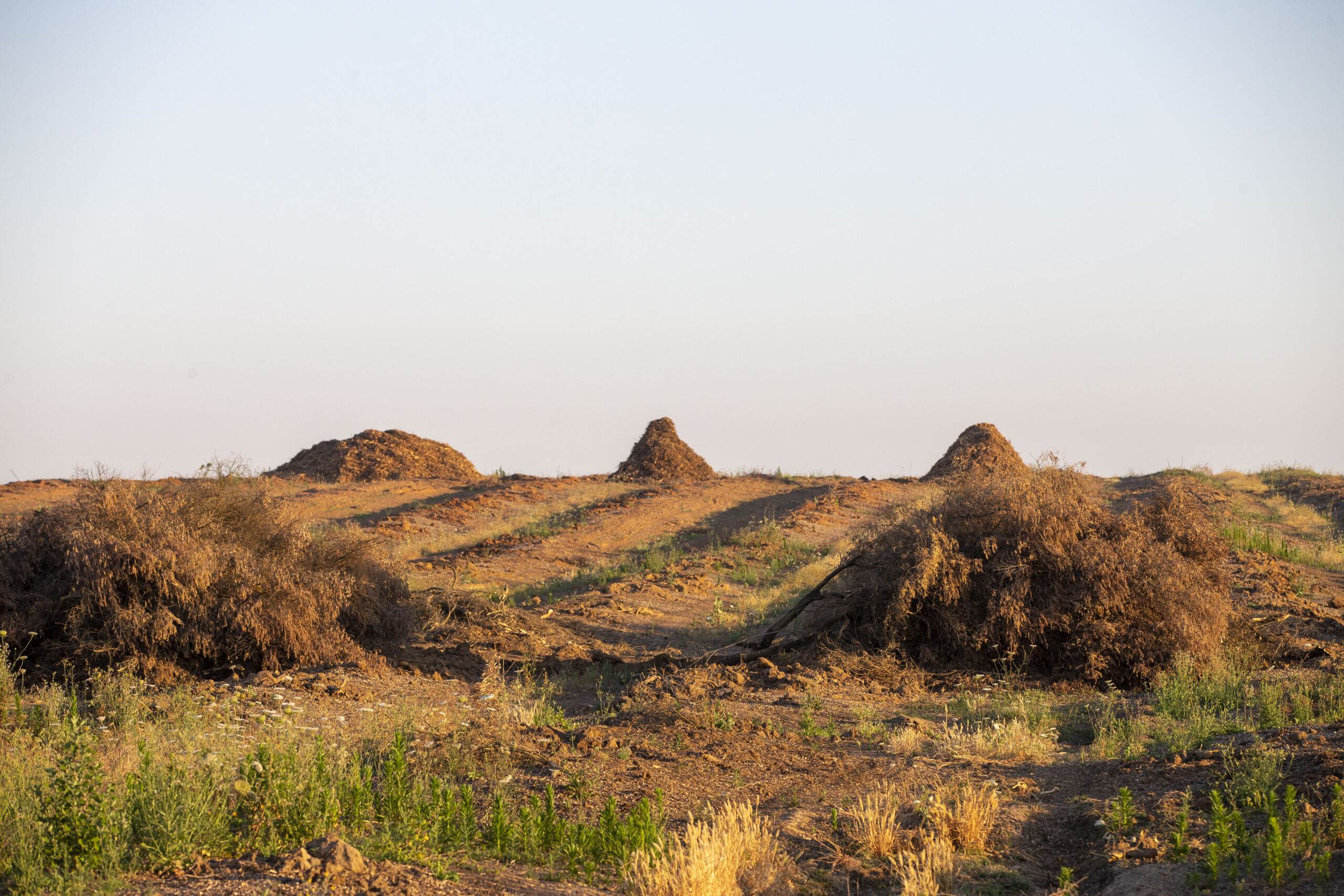 Magnon plans to reach 2,000 GWh of renewable thermal energy production ...