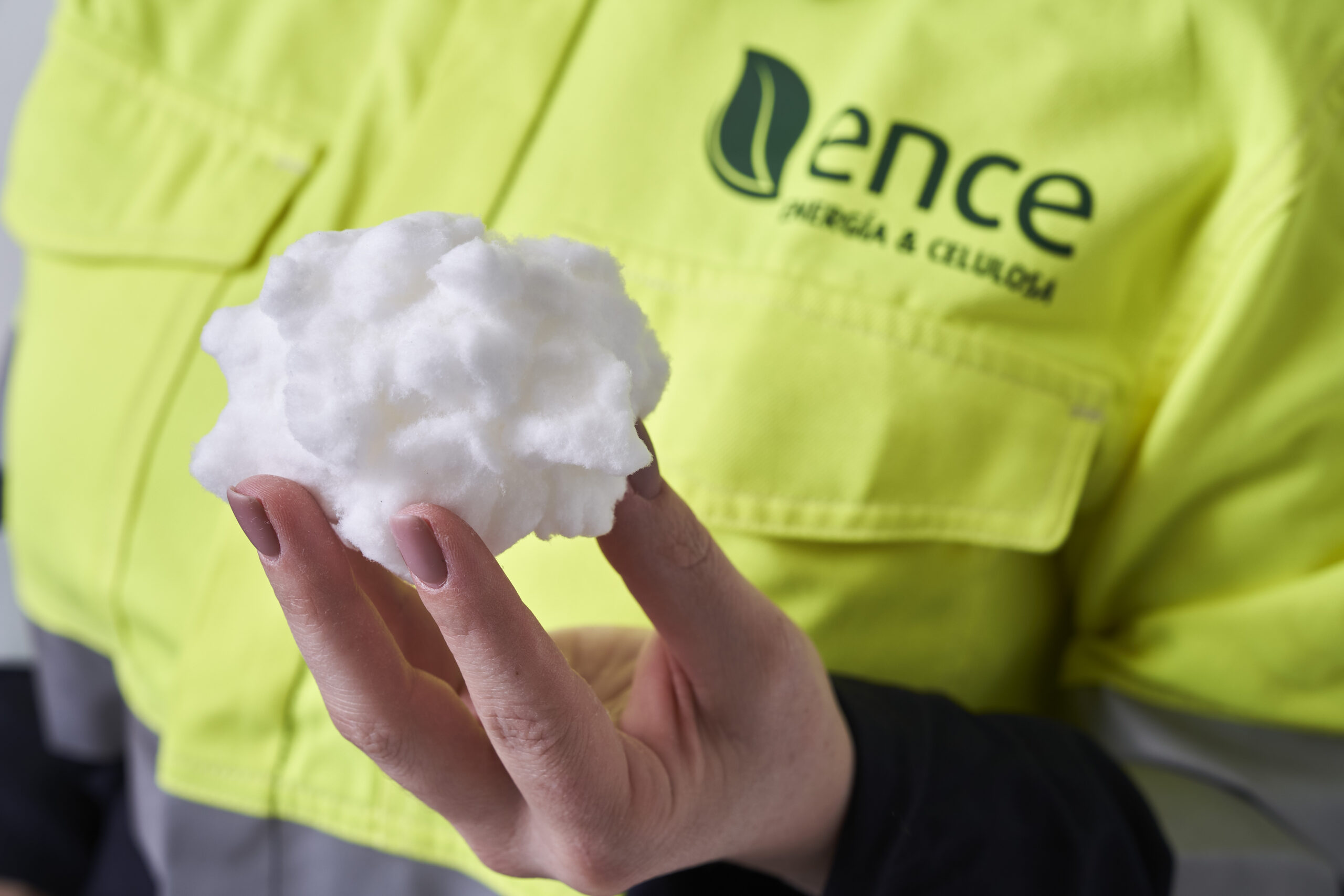 Ence inicia en Navia las obras del proyecto para la elaboración de ...