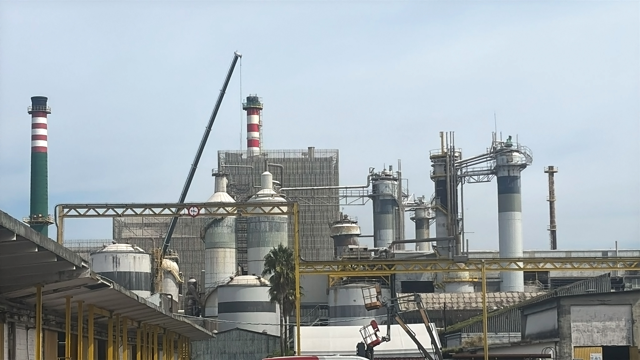 La biofábrica de Ence en Pontevedra retoma la producción tras culminar ...