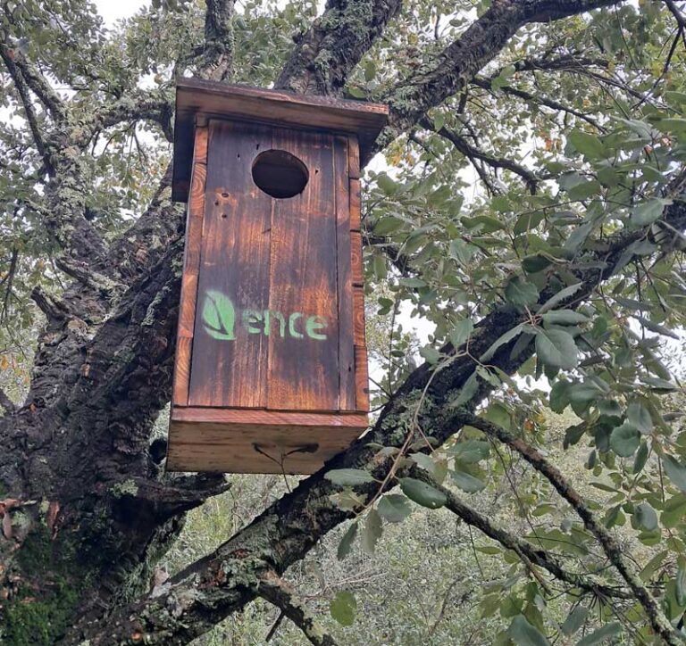 Ence avanza en su Plan de Biodiversidad con medidas para conservar ...